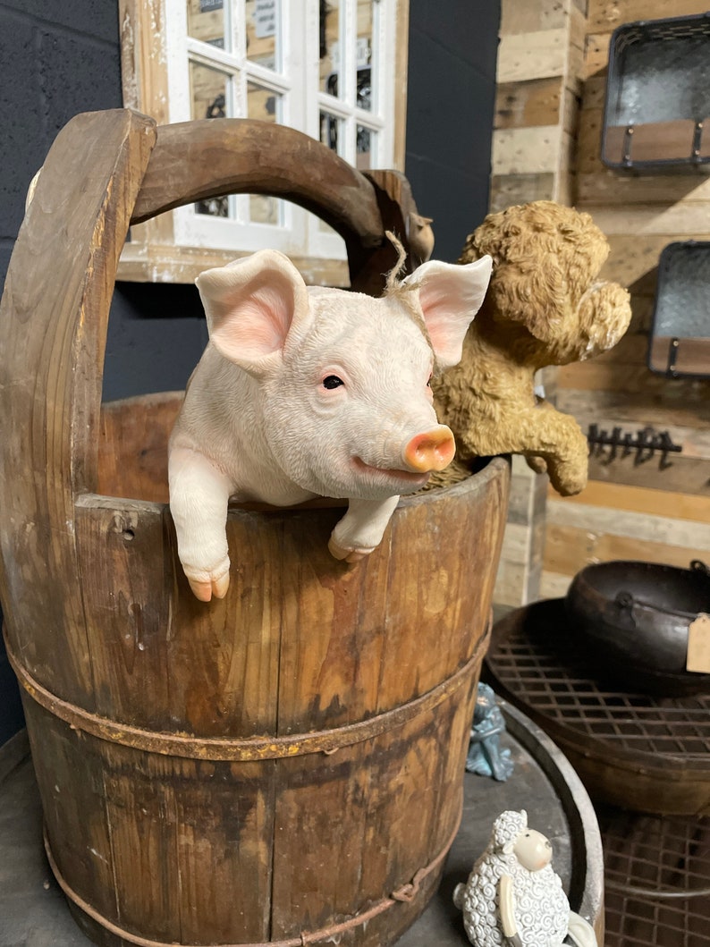 Cheeky Piggy Garden Fence Decoration Hanging Climbing Pig - Etsy Sweden