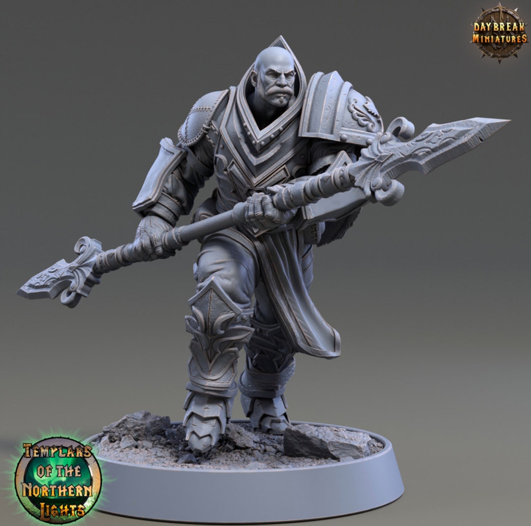 Sverker Icebrand Human Paladin Templars of the Northern Lights - Etsy