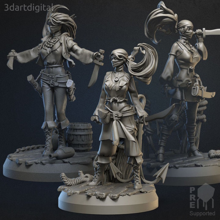 Female Pirate Modular Miniatures Unpainted Miniature - Etsy