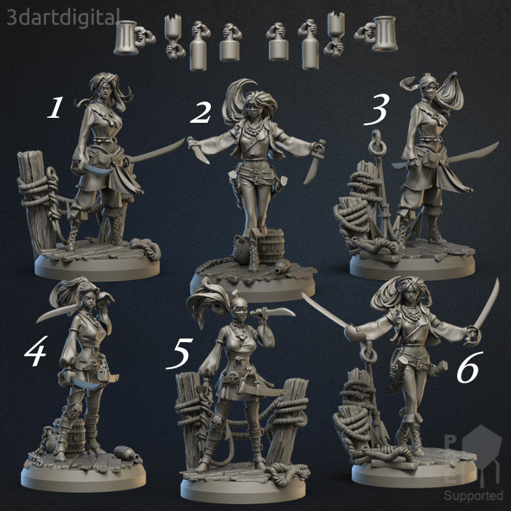Female Pirate - Modular Miniatures - Unpainted Miniature - Etsy