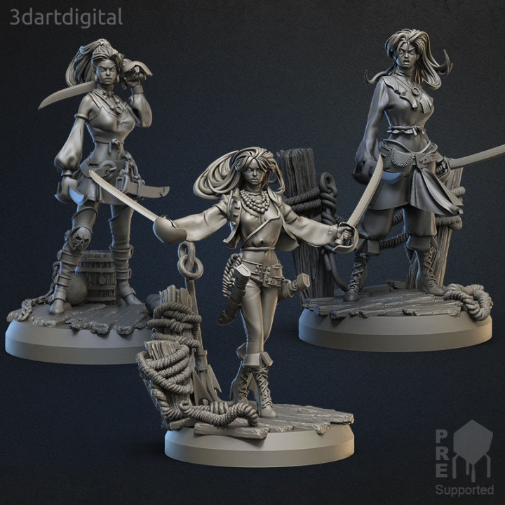 Female Pirate Modular Miniatures Unpainted Miniature - Etsy