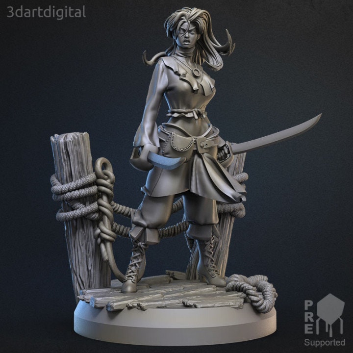 Female Pirate Modular Miniatures Unpainted Miniature - Etsy