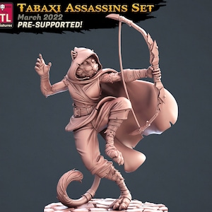 Tabaxi Miniature - Etsy