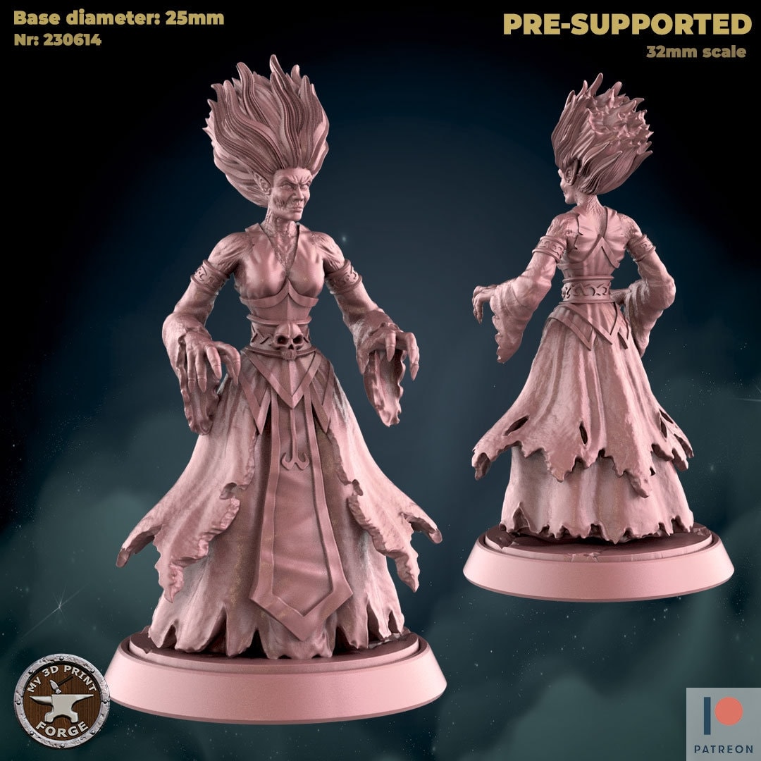 Banshee 2 Poses Unpainted Miniature - Etsy