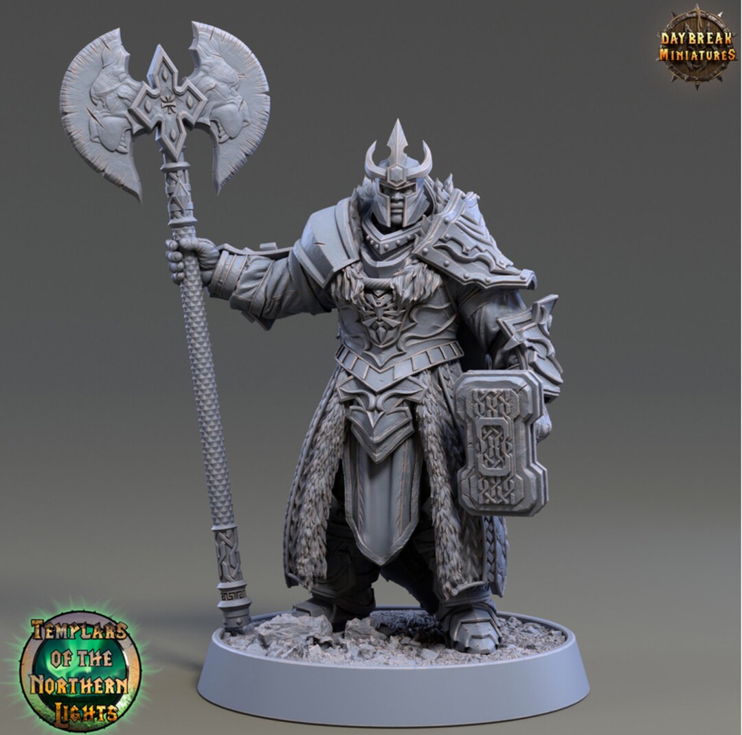 Holger Oather - Human Paladin - Templars of the Northern Lights - 32mm ...