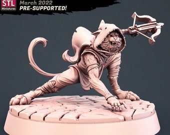 Ash Catfolk Tabaxi Rogue Assassin Miniature 3d Compatible - Etsy