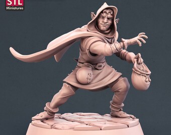 Dwarf Rogue Dnd Miniature thief Miniatures for Tabletop Games Like D&D ...