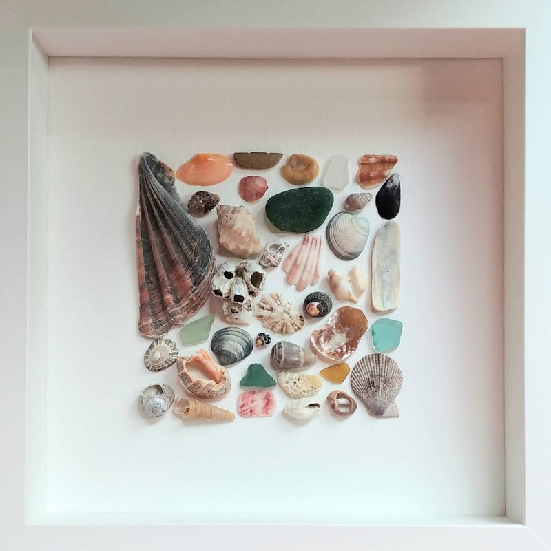 Framed Shell Art - Etsy