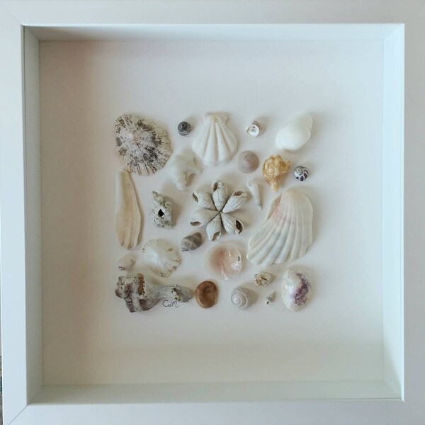 Framed Shell Art - Etsy