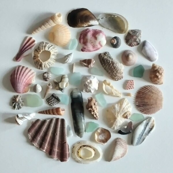 Pebble Kit Art - Etsy