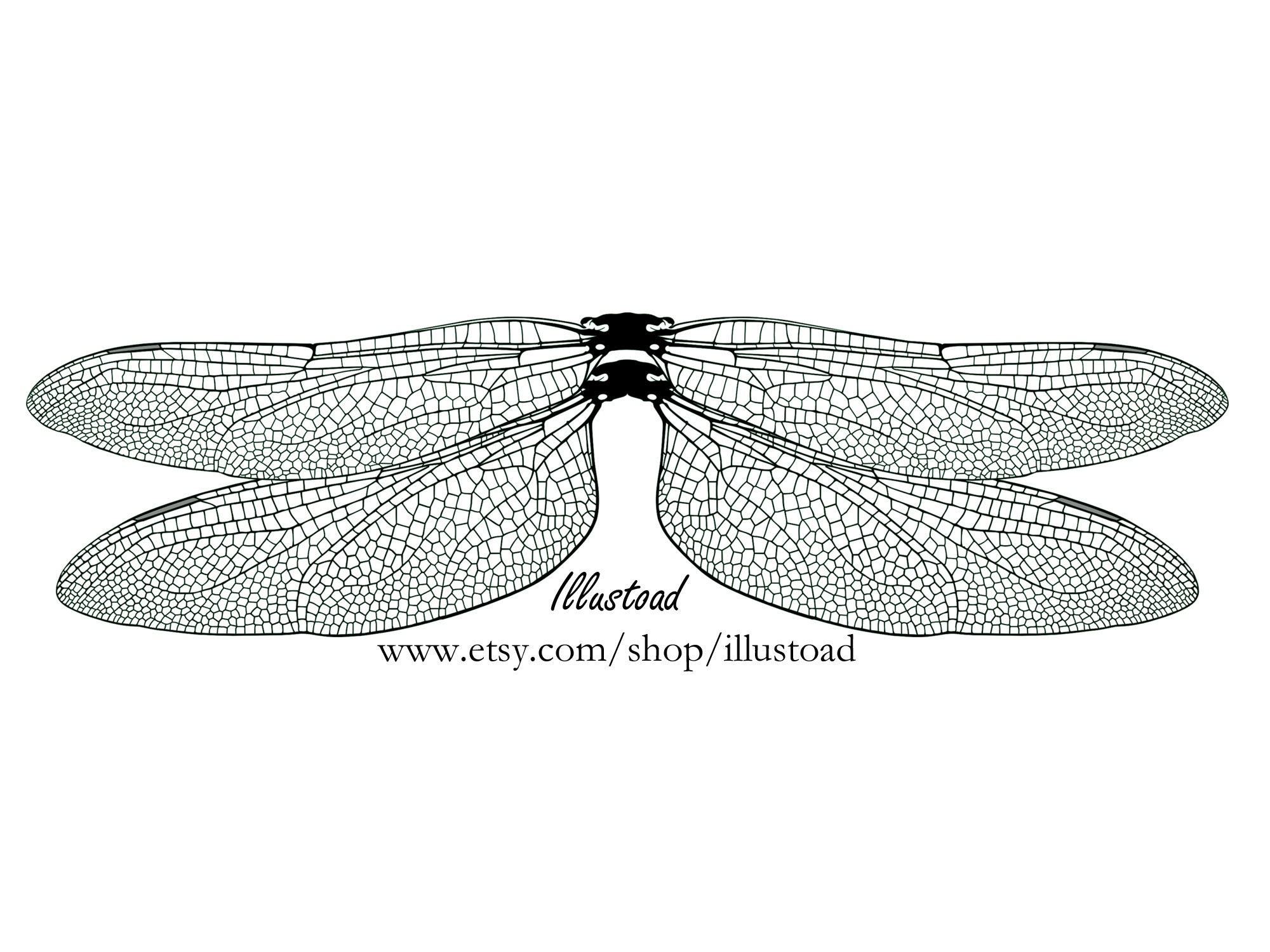 Dragonfly Wings Svg Dxf Png Digital Download - Etsy