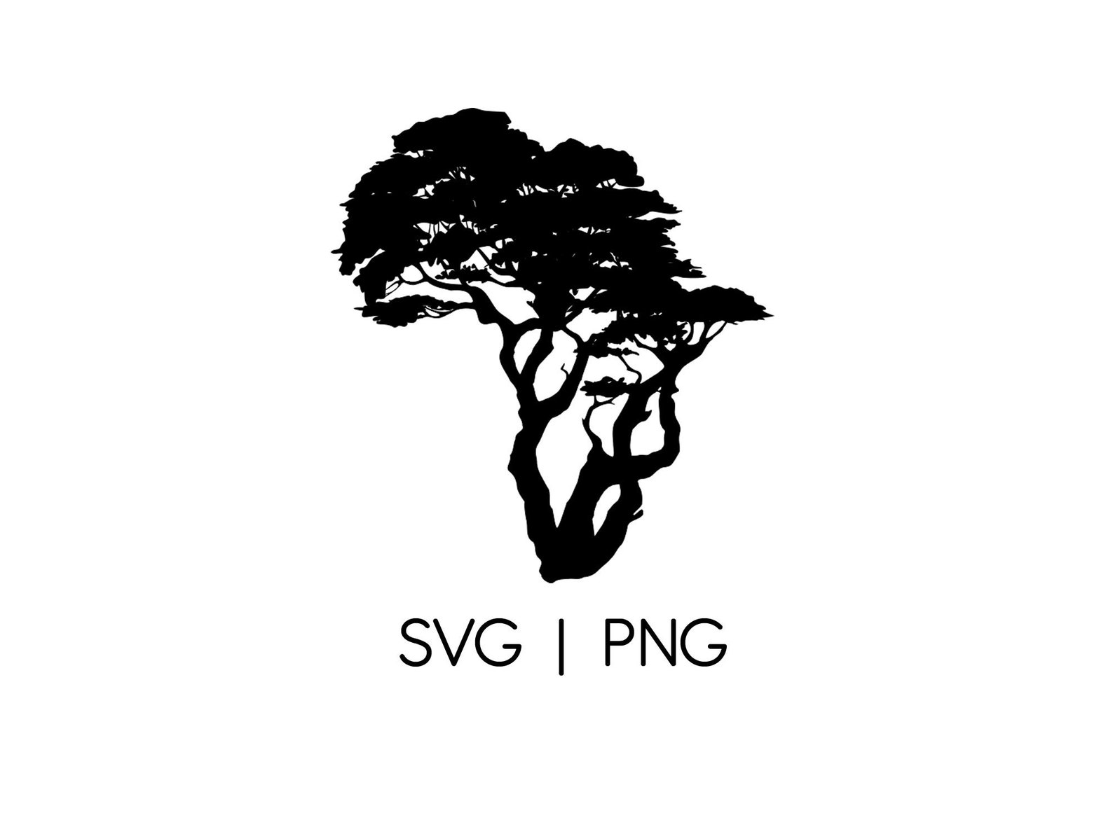 Africa Acacia Tree Digital Download SVG PNG 2 Versions - Etsy