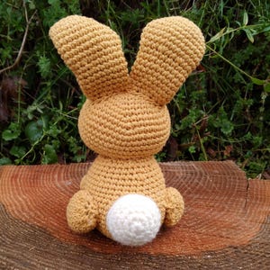 Coop Friends Amigurumi, Chicken, Duck, Rabbit, Crochet Pattern Bundle ...