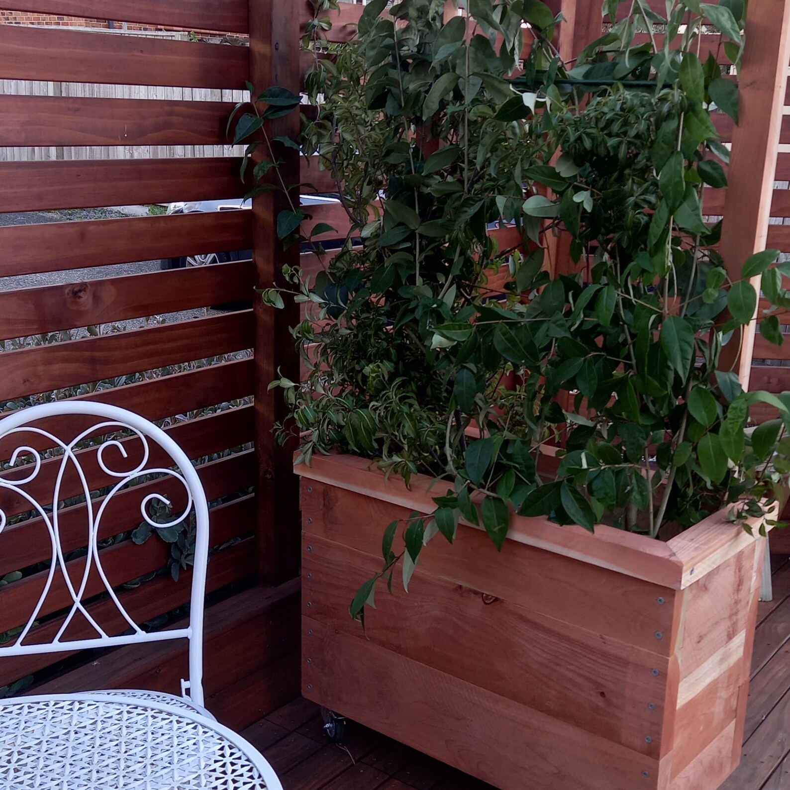 Plans for a Privacy Planter Box Made From 2x8 Boards - Etsy