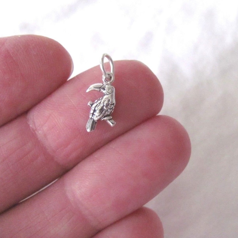 Toucan Sterling Silver - Etsy