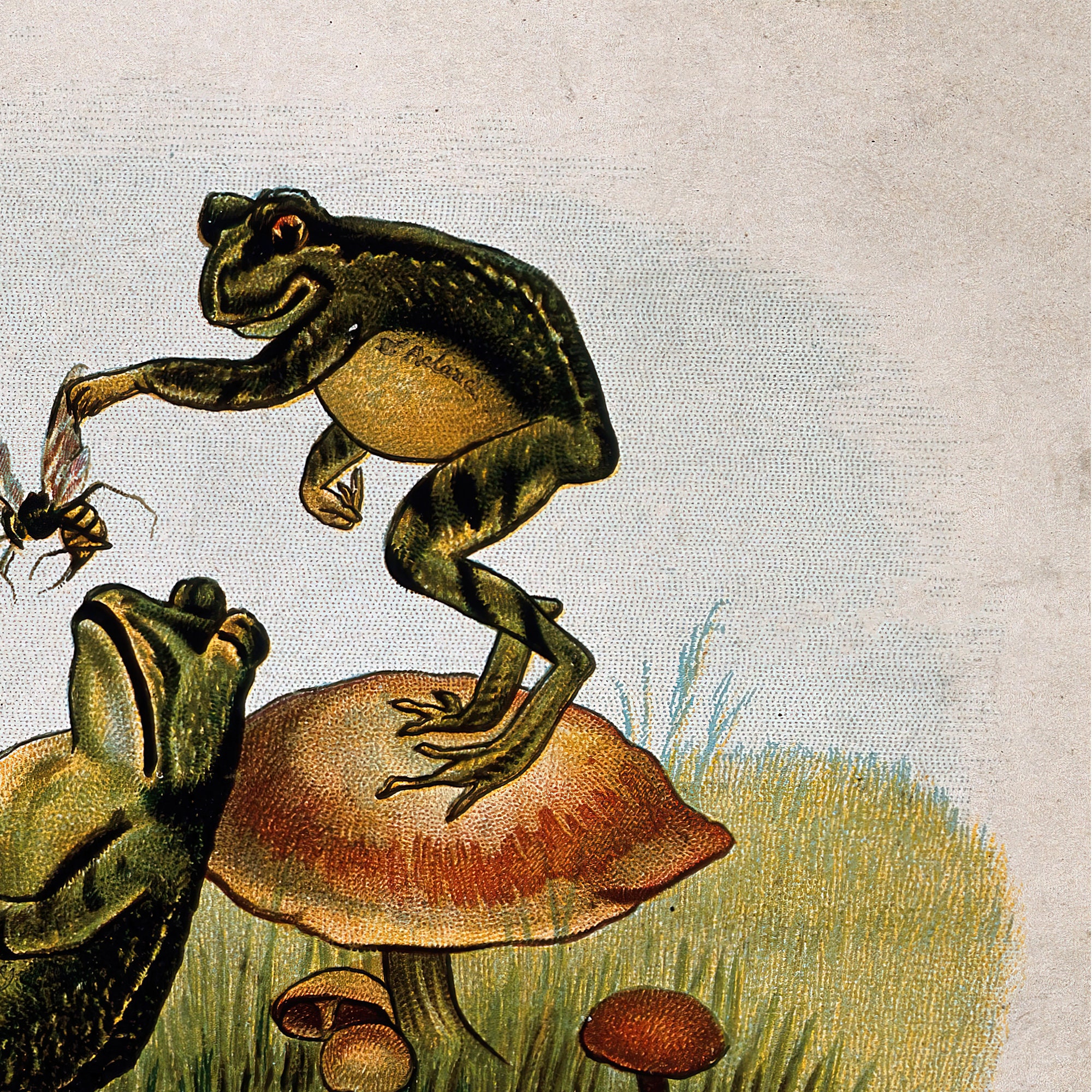 Funny Frog Art Print Weird Kitsch Wall Art Whimsical Frog - Etsy