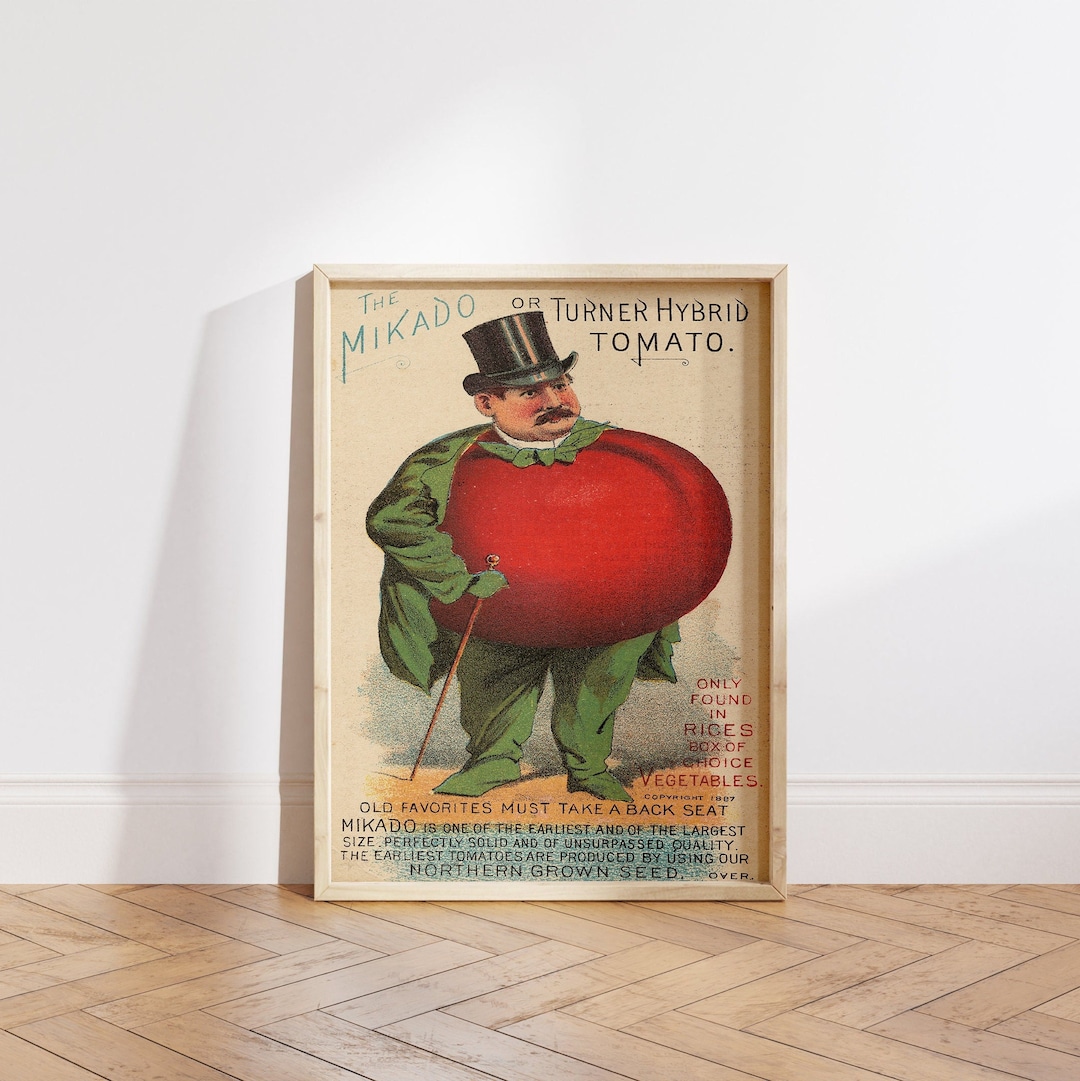 Victorian Tomato Man, Vintage Kitchen Art Print, Funny Kitchen Poster ...