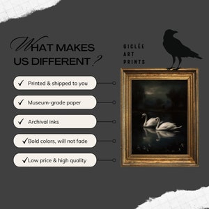Dark Moody Swans Print Dark Academia Prints Gothic Gifts Moody Wall Art ...