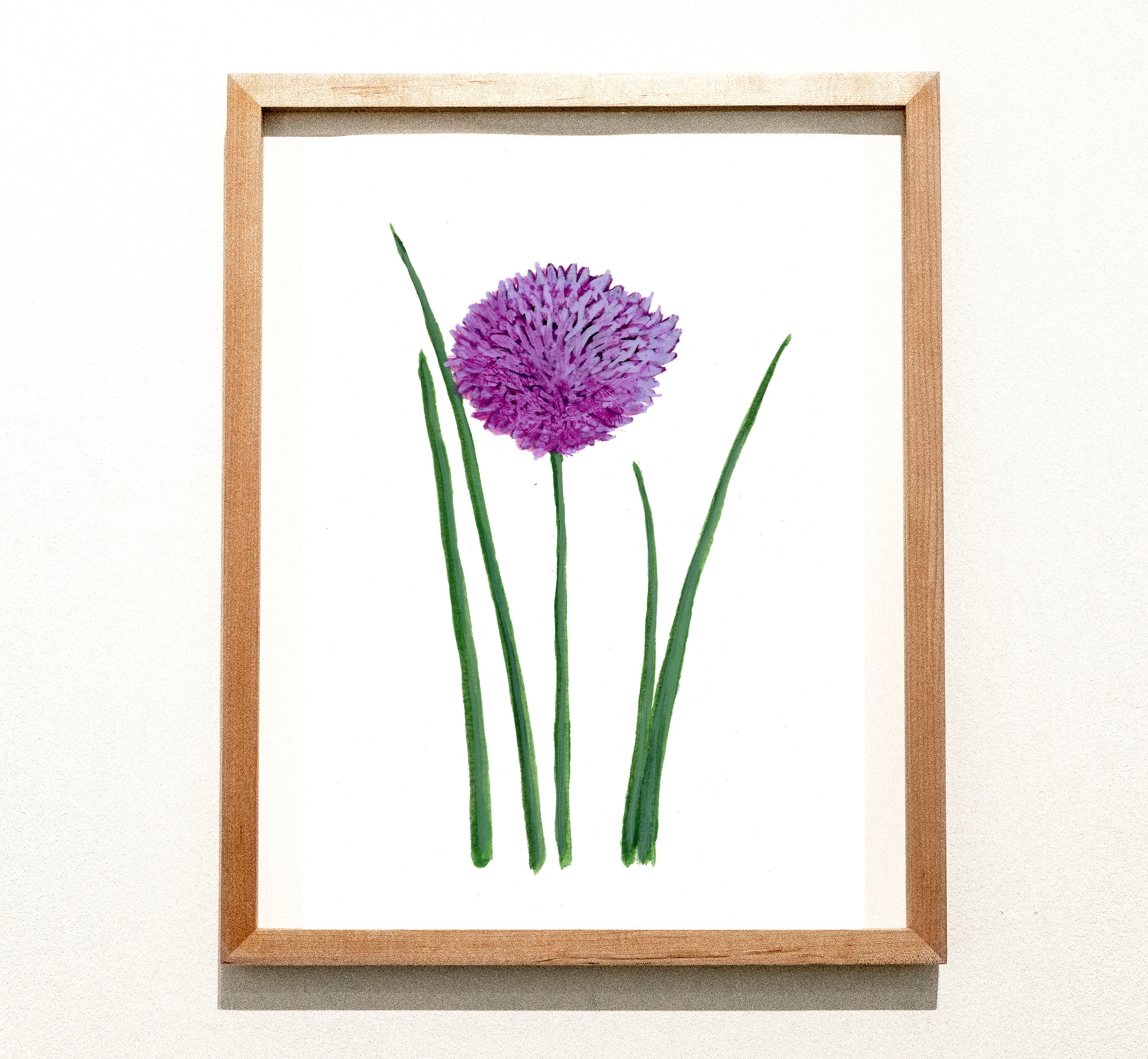 Chives Botanical Painting - Etsy