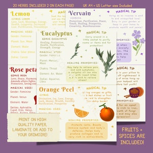 Magical Herbs, Witchcraft, Wicca, Green Witch, Grimoire, Magickal Herbs ...