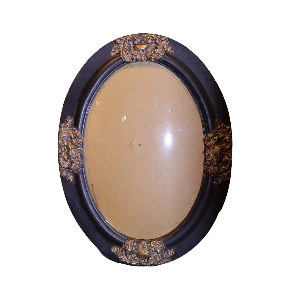 Victorian Antique Black Frame With Gold Designs and a Dome Glass - Etsy