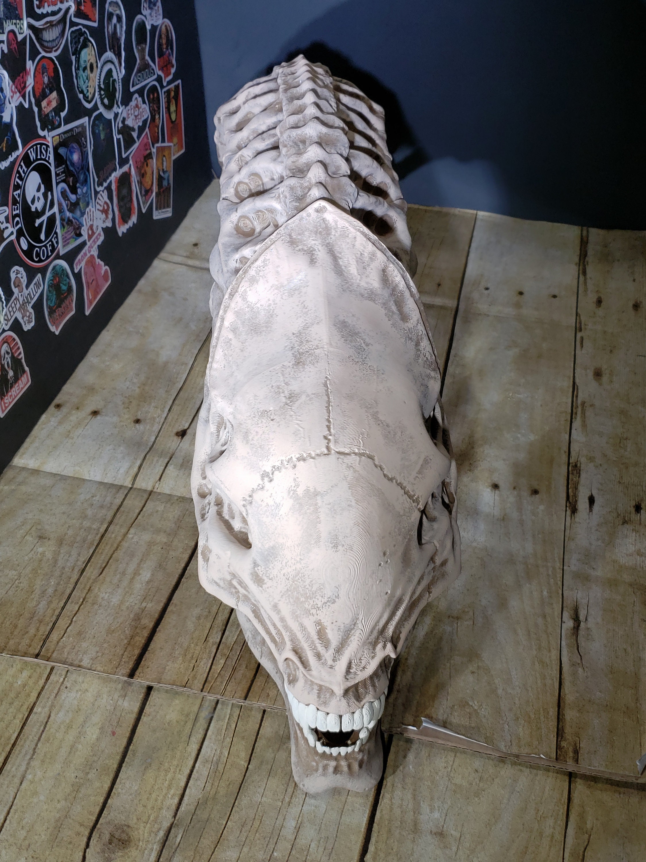 Giant Alien Xenomorph Skull With Full Base and Stand - Etsy