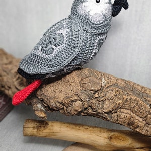 African Grey Parrot Crochet Pattern: African Flower Design (PDF Digital ...