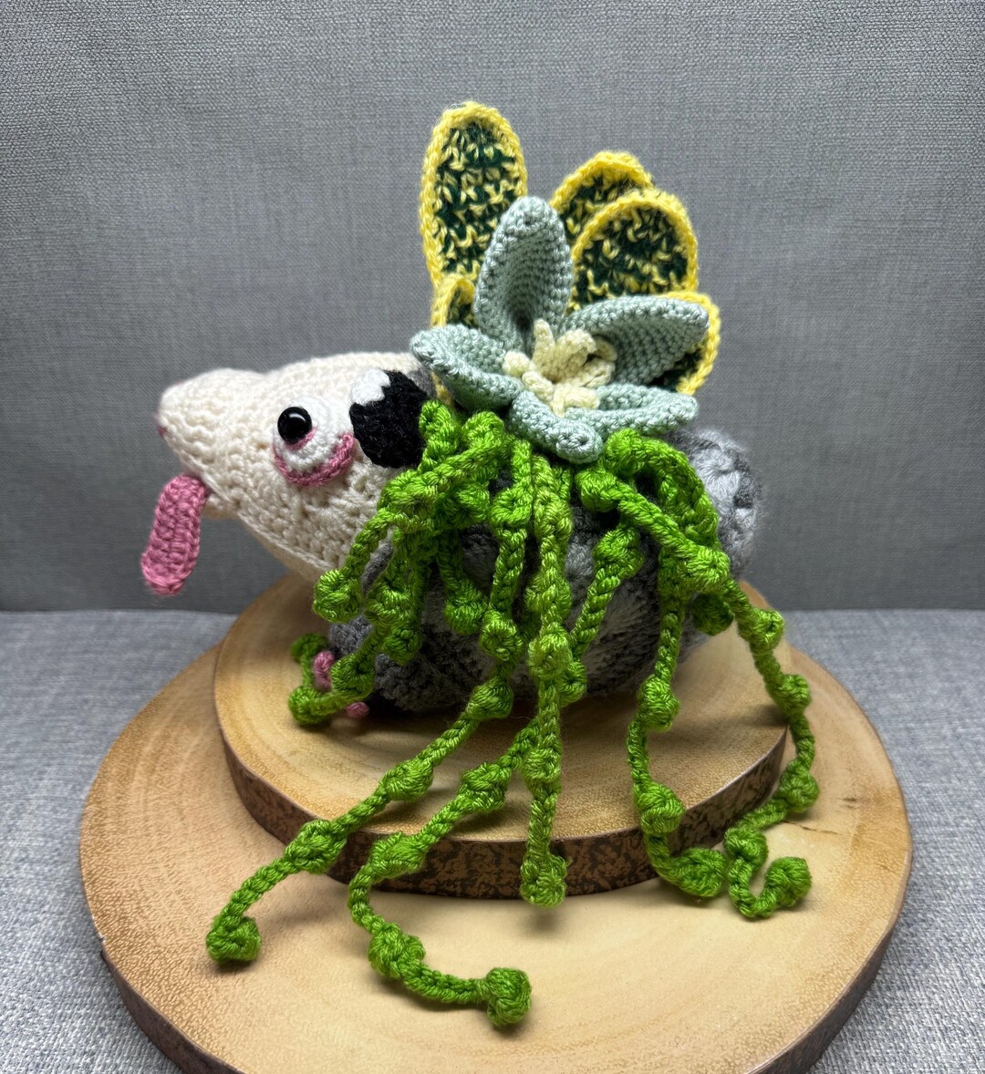 Cactus AND Brain Coaster Edition of Blossom the Opossum Pdf, Possum Toy ...