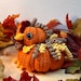 Chicken Pumpkin Crochet Pattern for Halloween or Fall, Autumn. Pdf ...