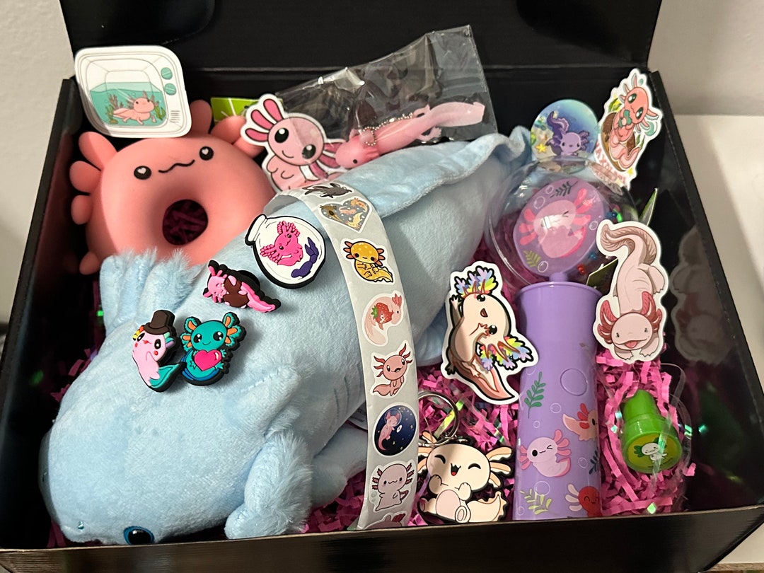 Axolotl Summer Fun Gift Box Surprise Kids With Axolotl Toys Axolotl ...