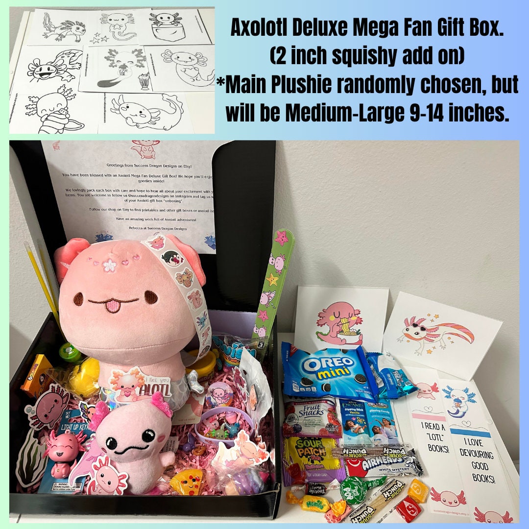 Axolotl Gift Box: Plushie, Fidget Toy & Stickers - Etsy