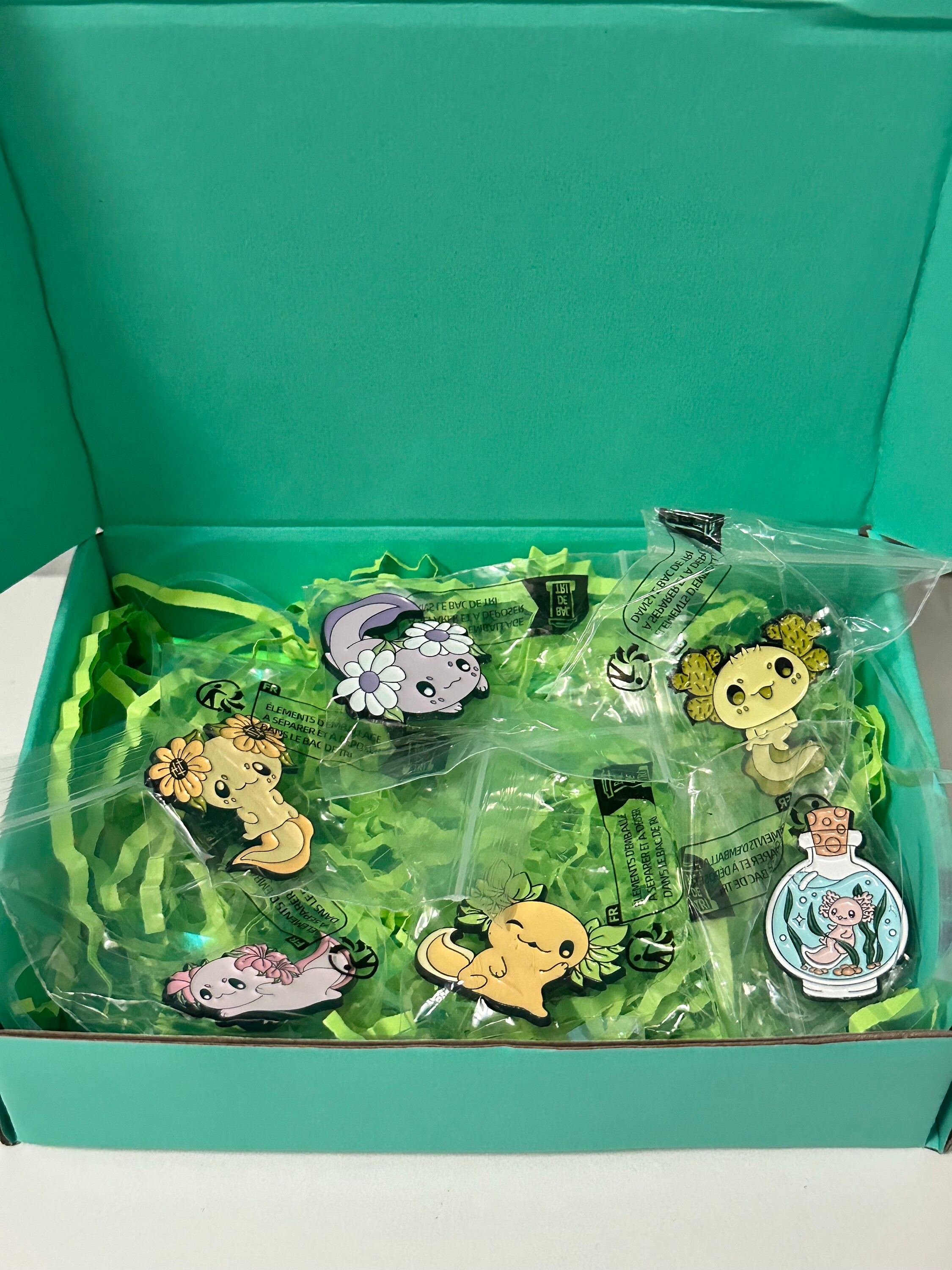 Axolotl Pins Enamel Pins Gift Set Axolotls Birthday Gift Box Axolotl ...