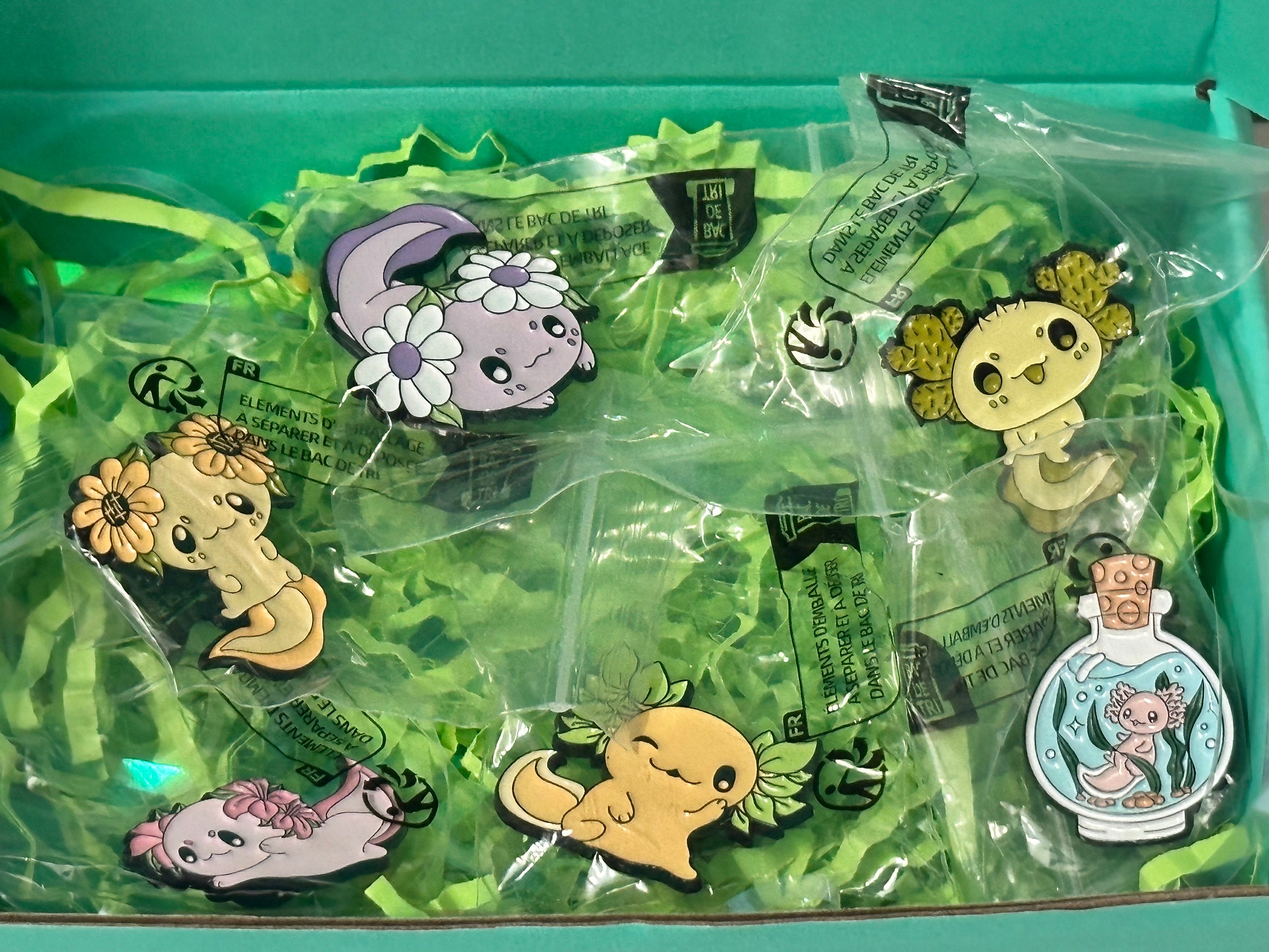 Axolotl Pins Enamel Pins Gift Set Axolotls Birthday Gift Box Axolotl ...