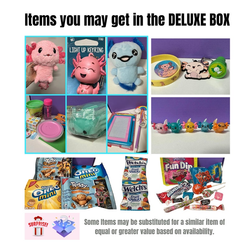 Axolotl Surprise Box Kids Axolotl Mystery Box Axolotl Birthday Gift for ...