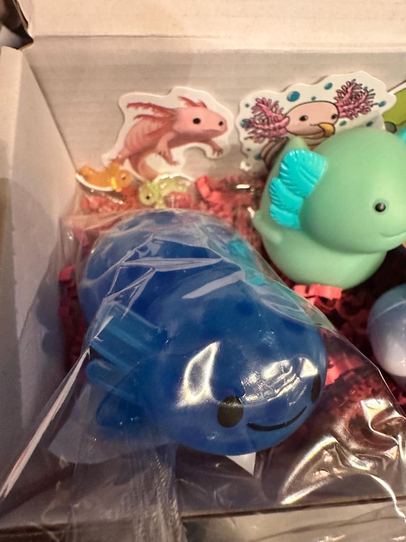 Axolotl Gift Box: Fidget Toy, Squishies, Stickers - Kids Surprise - Etsy