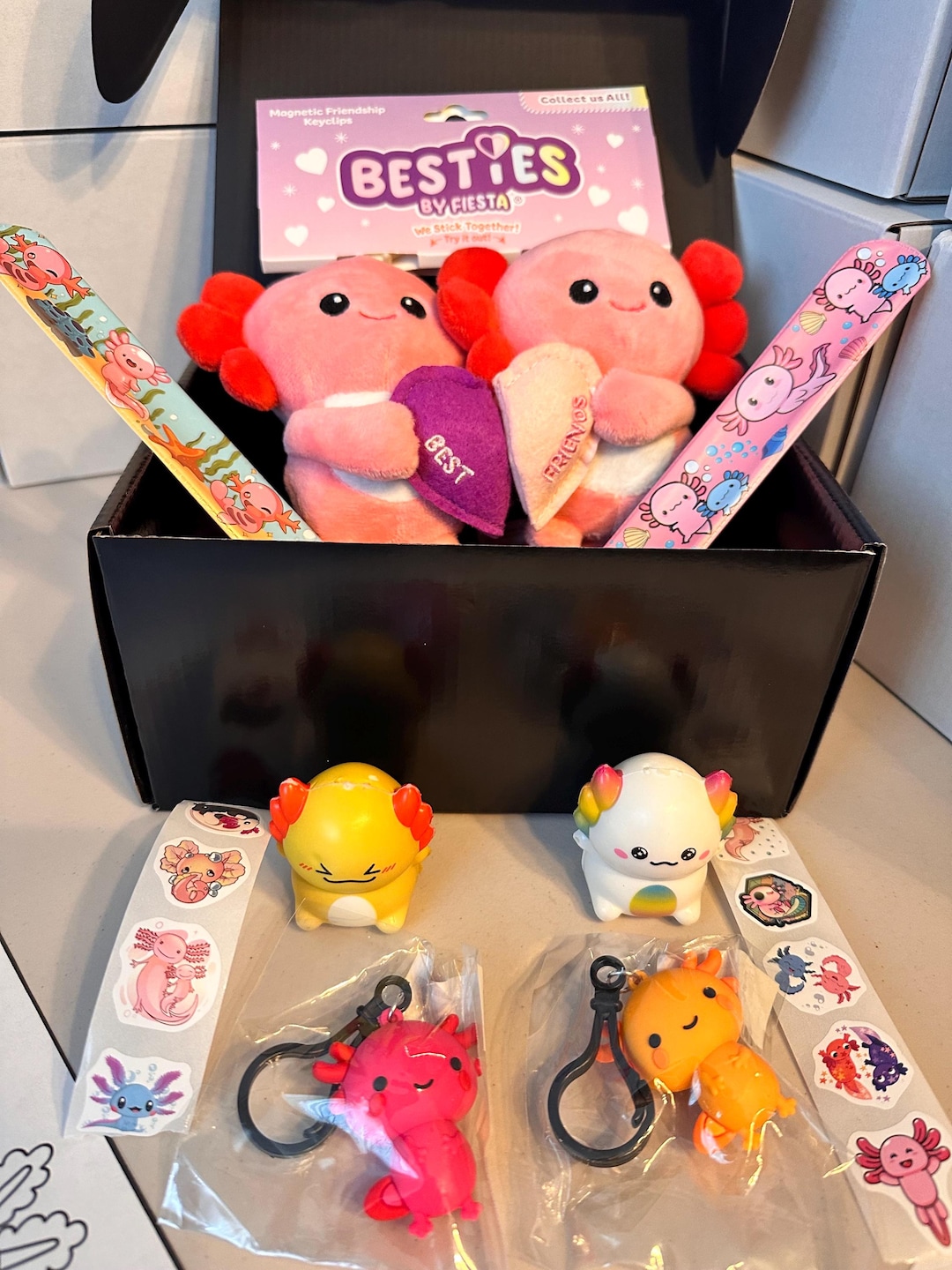 Axolotl Surprise Box for BESTIES Kids Axolotl Gift Box Axolotl Birthday ...