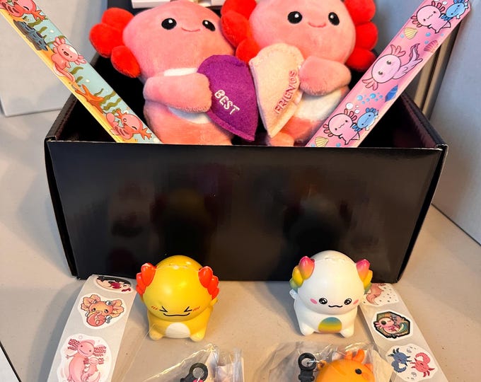 Axolotl Surprise Box for BESTIES Kids Axolotl Gift Box Axolotl Birthday ...