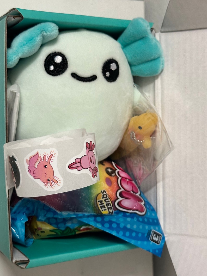 Axolotl Box of Fun: Plushie, Fidget Toy, Necklace - Birthday Gift - Etsy