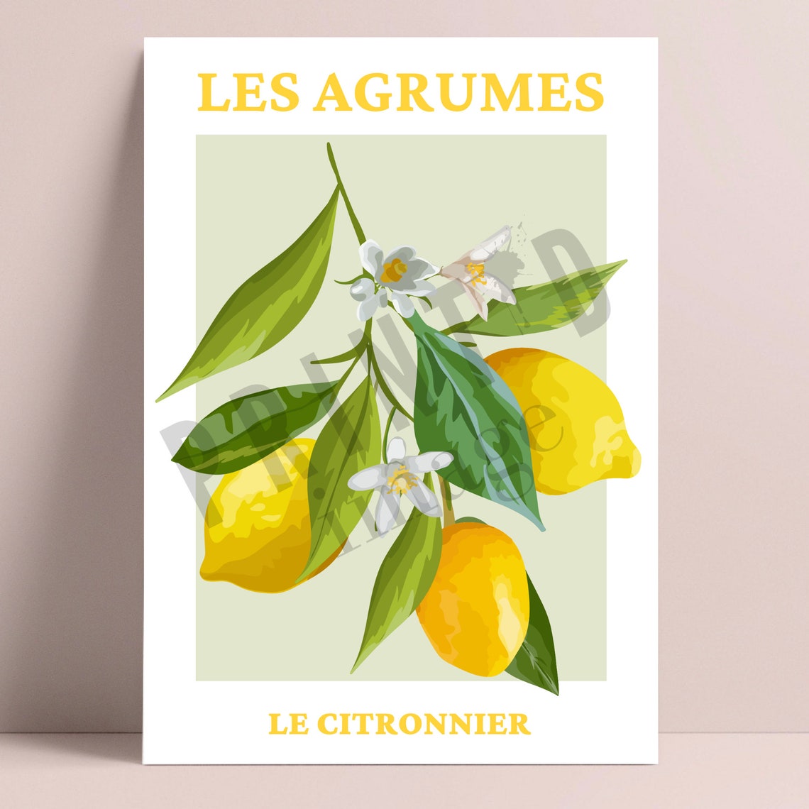 Citrus Fruit Print Set of 3 French Fruit Art Prints Fruit - Etsy