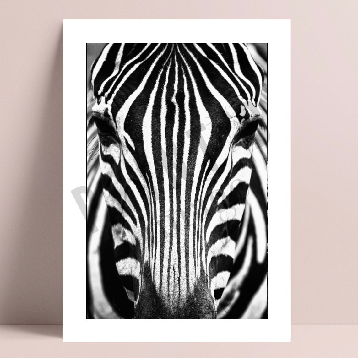 Zebra Print, Zebra Safari Print, Fashion Wall Art, Stylish Wall Art ...