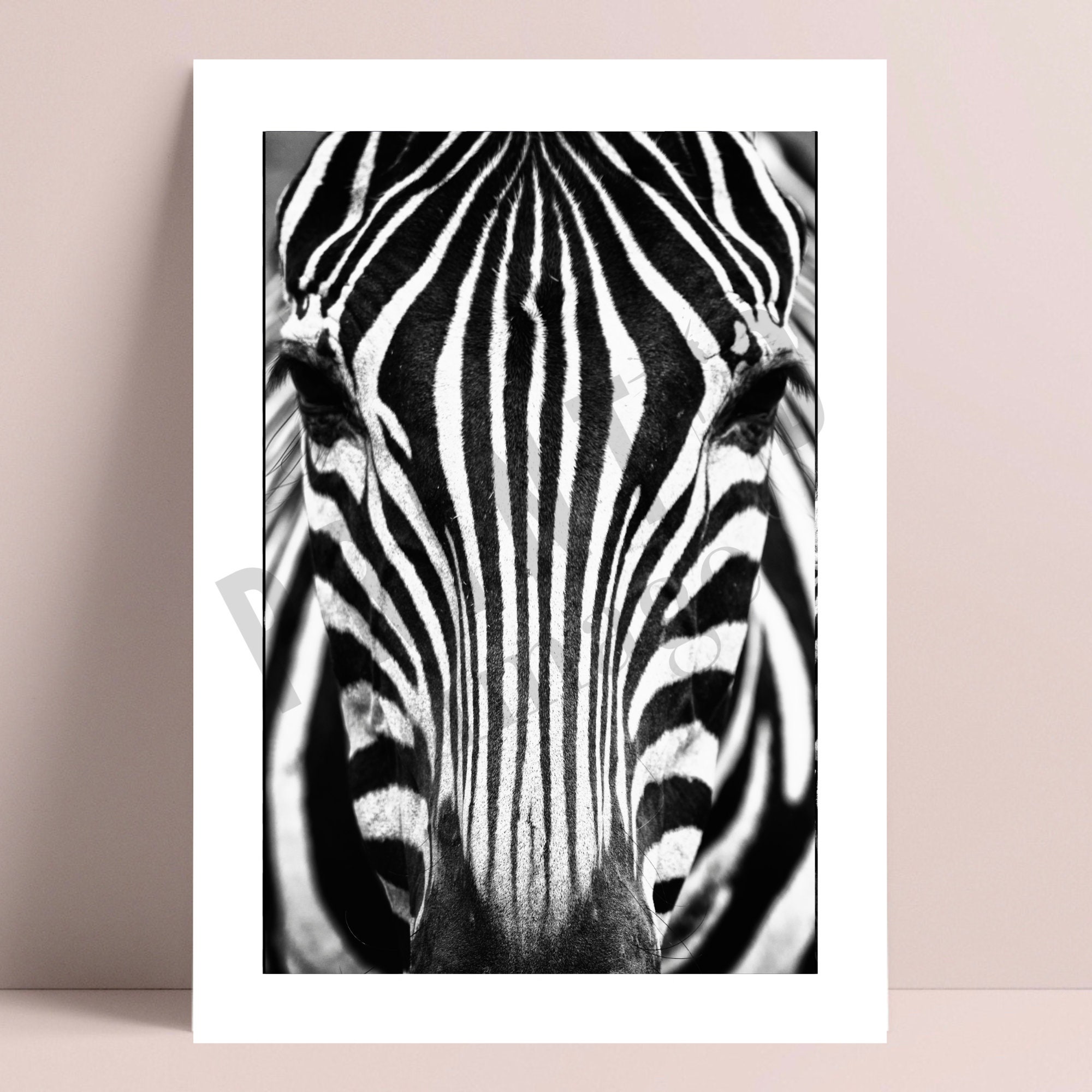 Zebra Print Zebra Safari Print Fashion Wall Art Stylish - Etsy UK