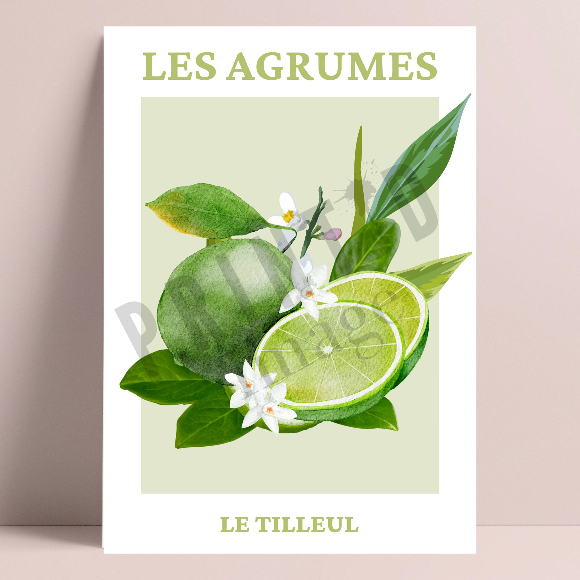 Citrus Fruit Print Set of 3 French Fruit Art Prints Fruit - Etsy