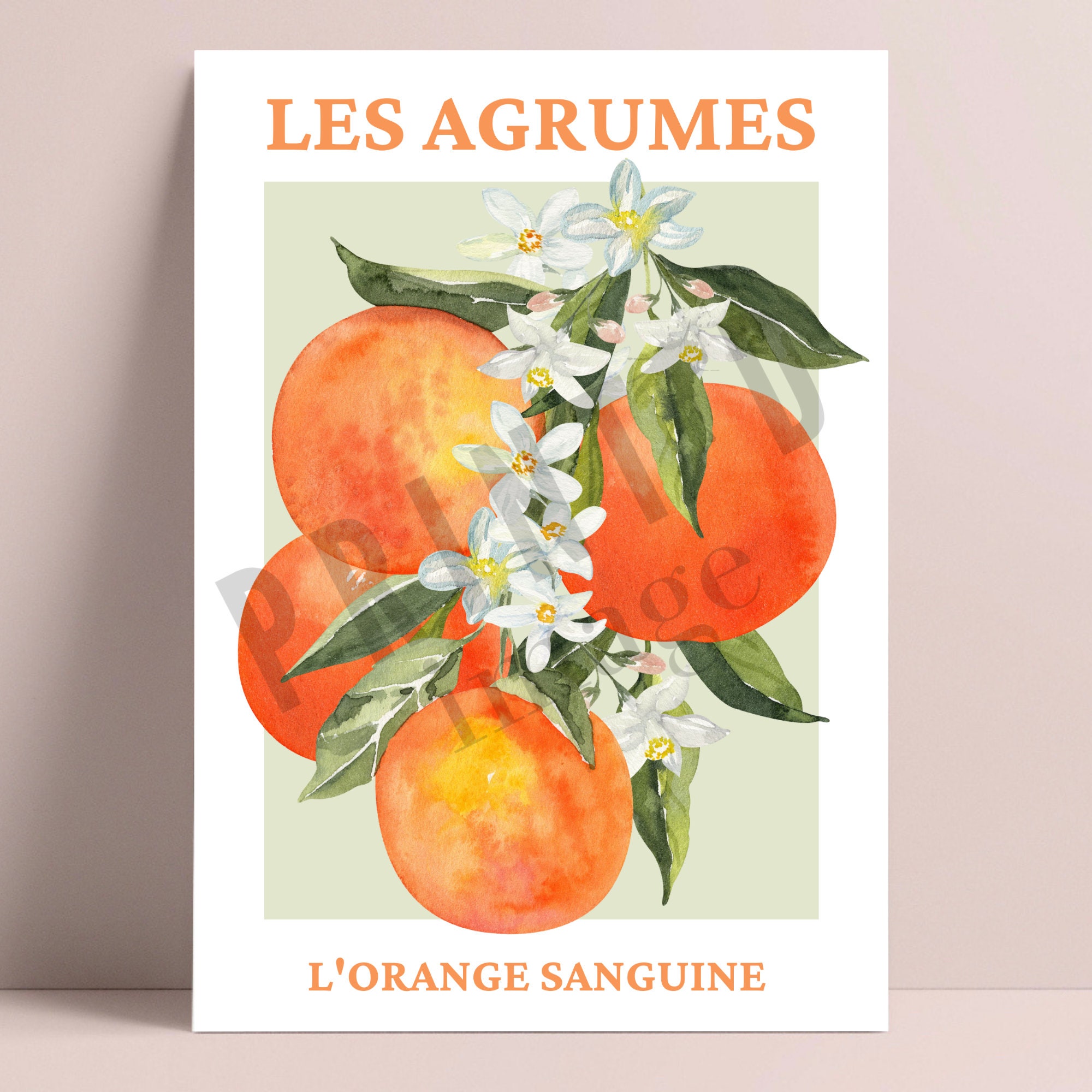 Citrus Fruit Print, Set of 3 French Fruit Art Prints, Fruit Wall Art ...