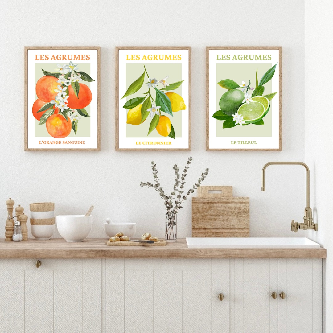 Citrus Fruit Print, Set of 3 French Fruit Art Prints, Fruit Wall Art ...