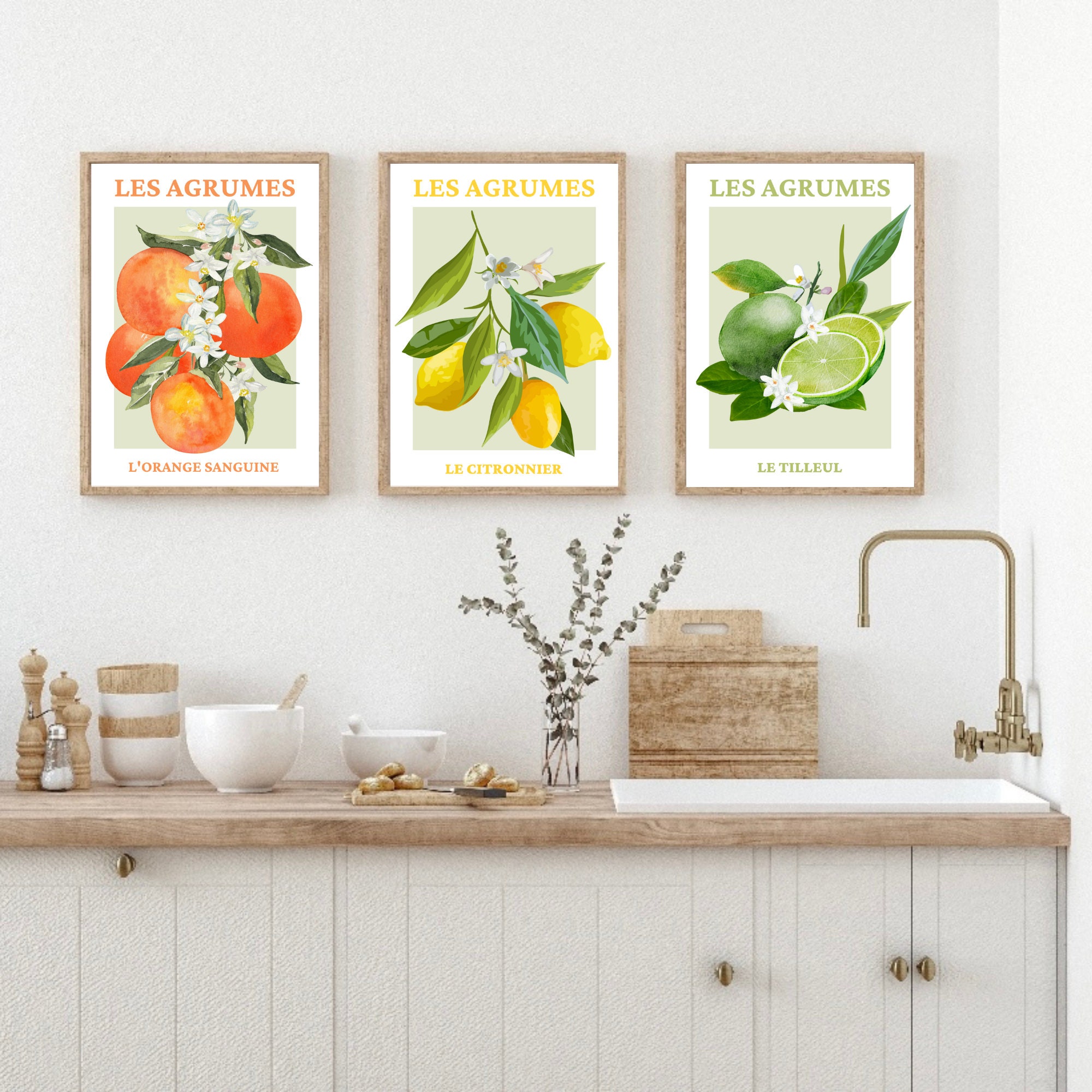 Citrus Fruit Print, Set of 3 French Fruit Art Prints, Fruit Wall Art ...