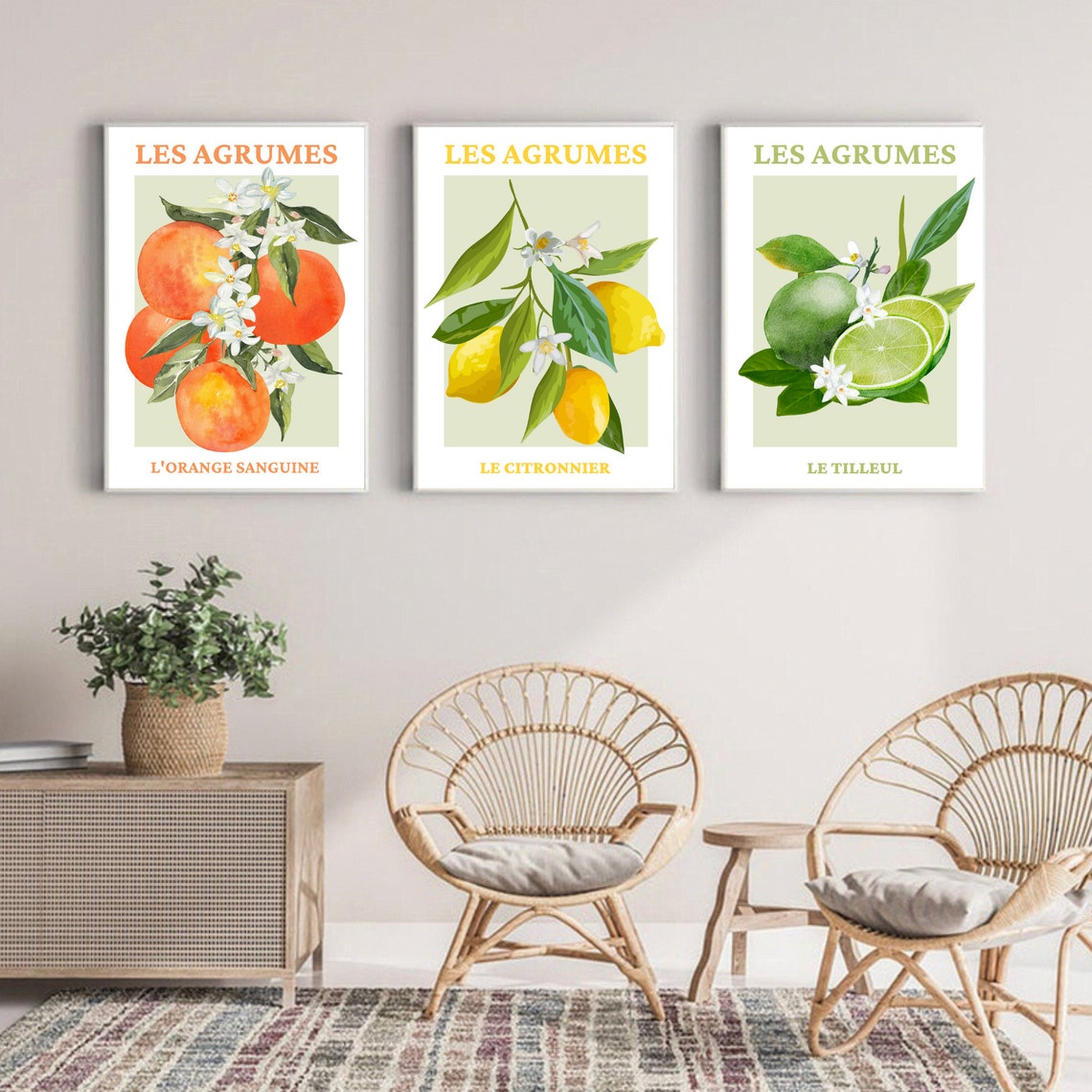 Citrus Fruit Print Set of 3 French Fruit Art Prints Fruit - Etsy