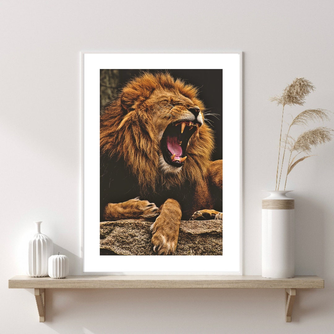 Lion Print, Lion Poster, Safari Prints, Safari Posters, Lion in the ...