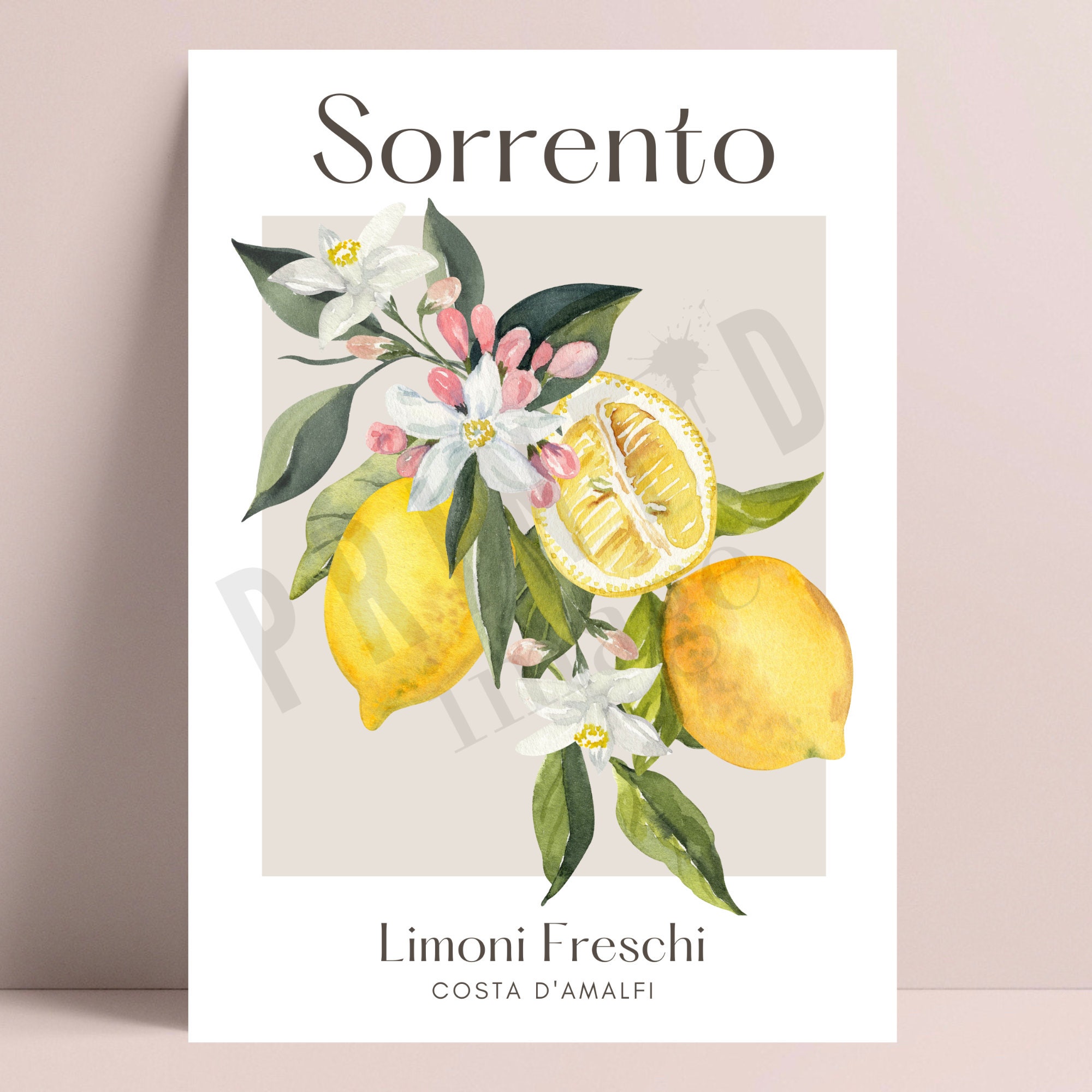 Citrus Fruit Print, Set of 3 Italian Fruit Art Prints, Fruit Wall Art ...