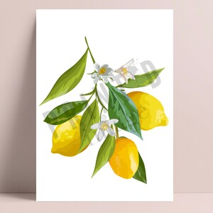 Citrus Fruit Print, Set of 3 Fruit Art Prints, Fruit Wall Art, Kitchen ...