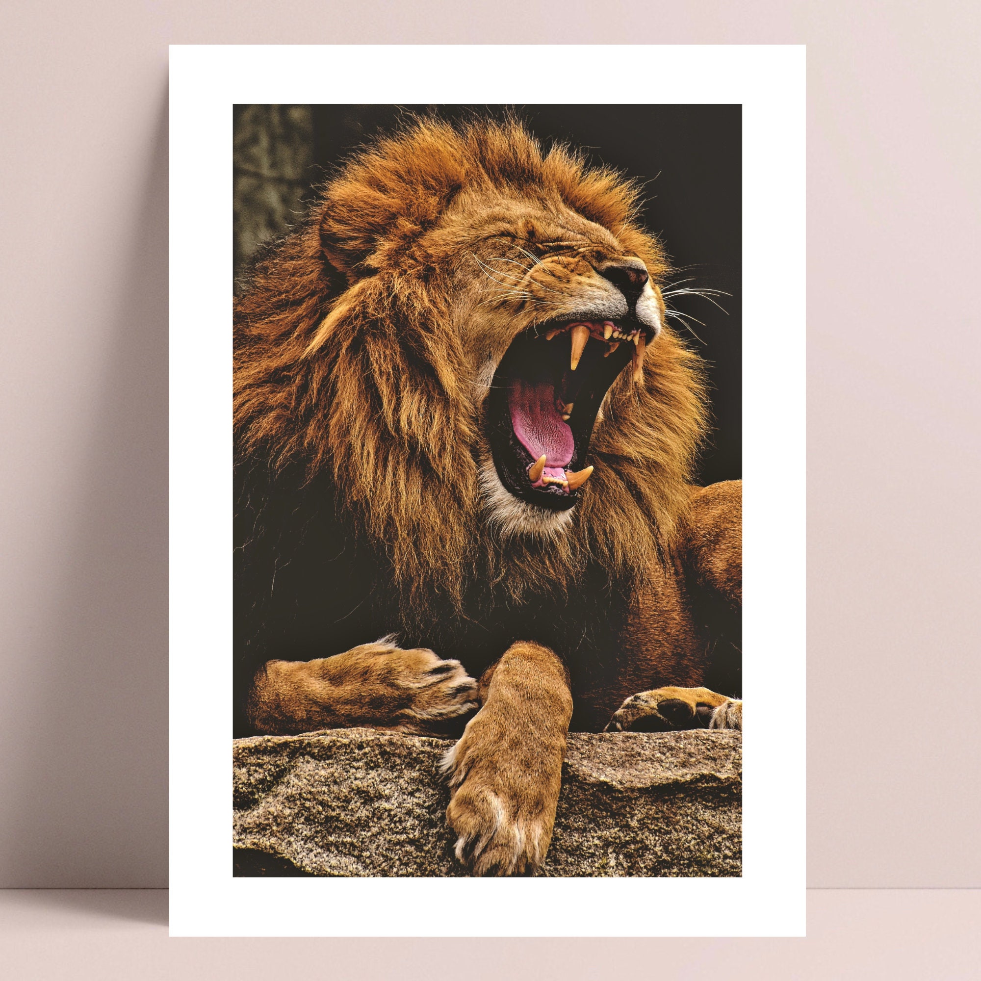 Lion Print Lion Poster Safari Prints Safari Posters Lion - Etsy